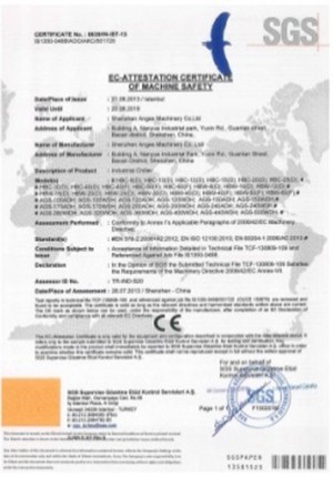 China Shenzhen Anges Machinery Co., Ltd company profile